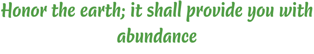 EarthLink Environmentals