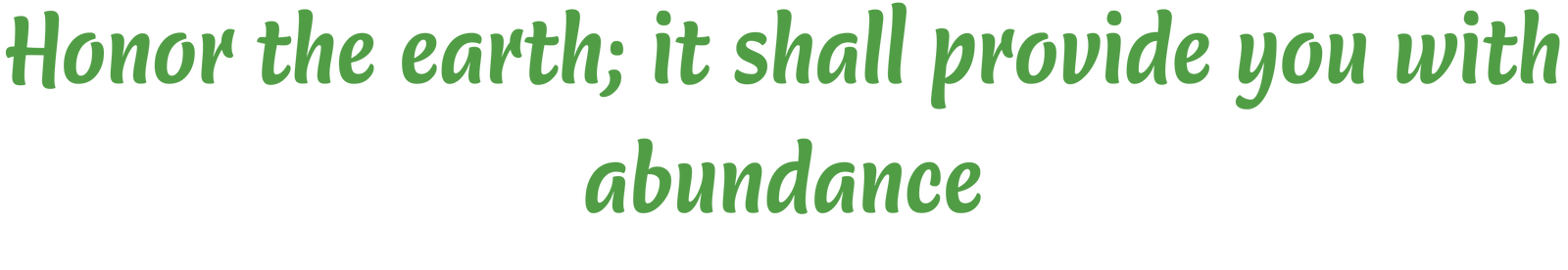 EarthLink Environmentals