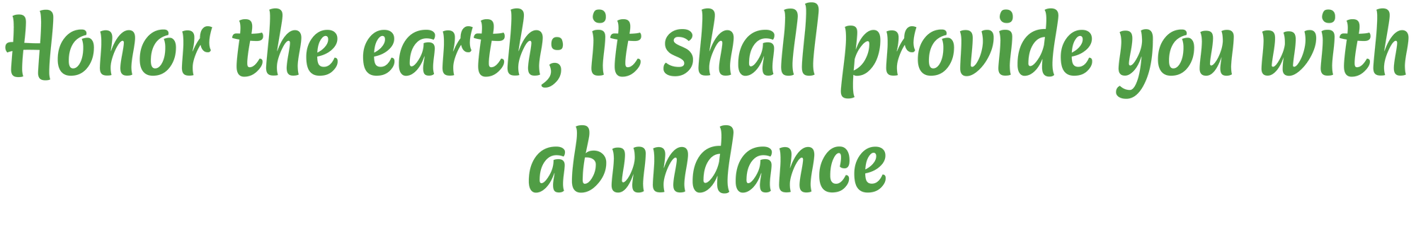 EarthLink Environmentals