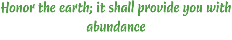 EarthLink Environmentals